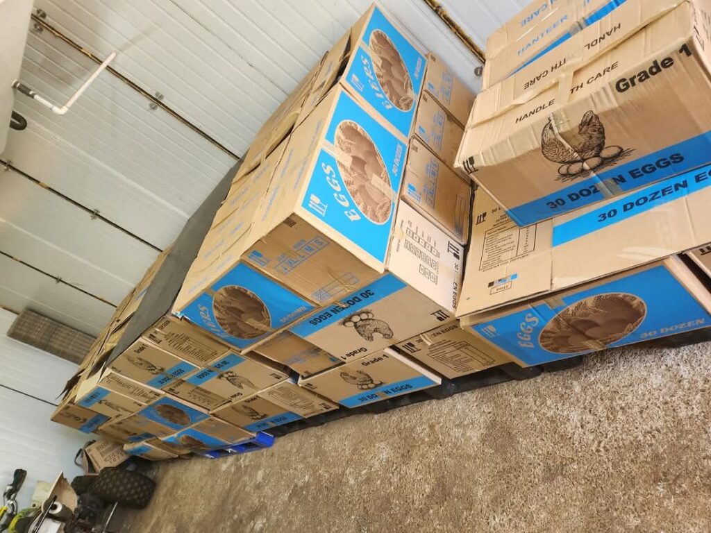 Egg Prices/Combos - Nice combo